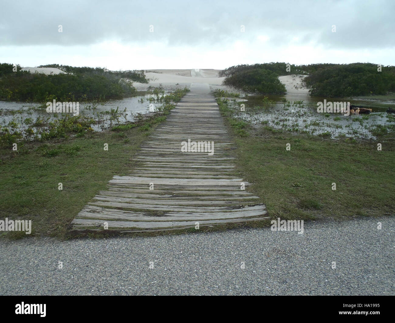 assateaguenps 21807563320 Oceanside Campground Stock Photo - Alamy