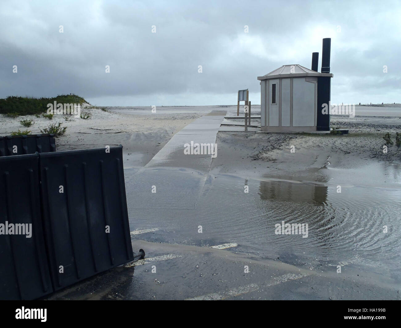 Assateague National Park's South Ocean Beach offers pristine coastal ...