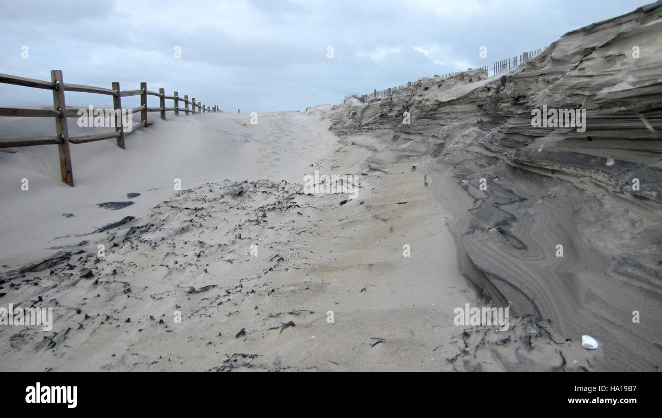 Assateague National Park's Oceanside Walk-In Campground offers visitors ...