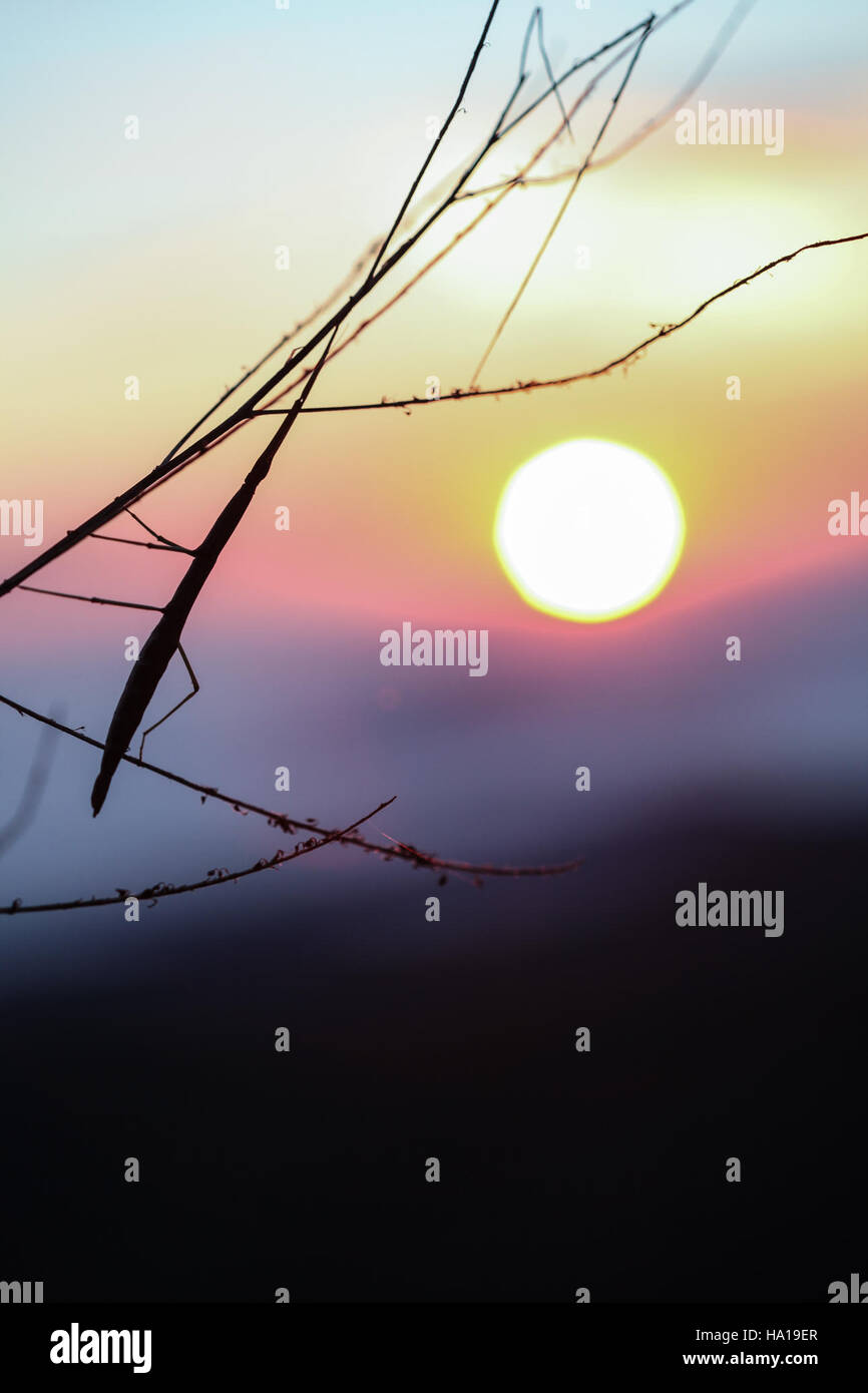 Visual representation national park hi-res stock photography and images ...