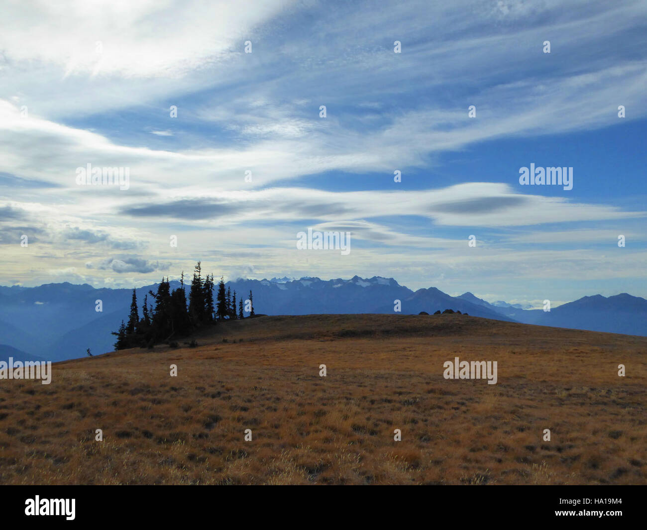 A picturesque view of Hurricane Hill in Olympic National Park ...
