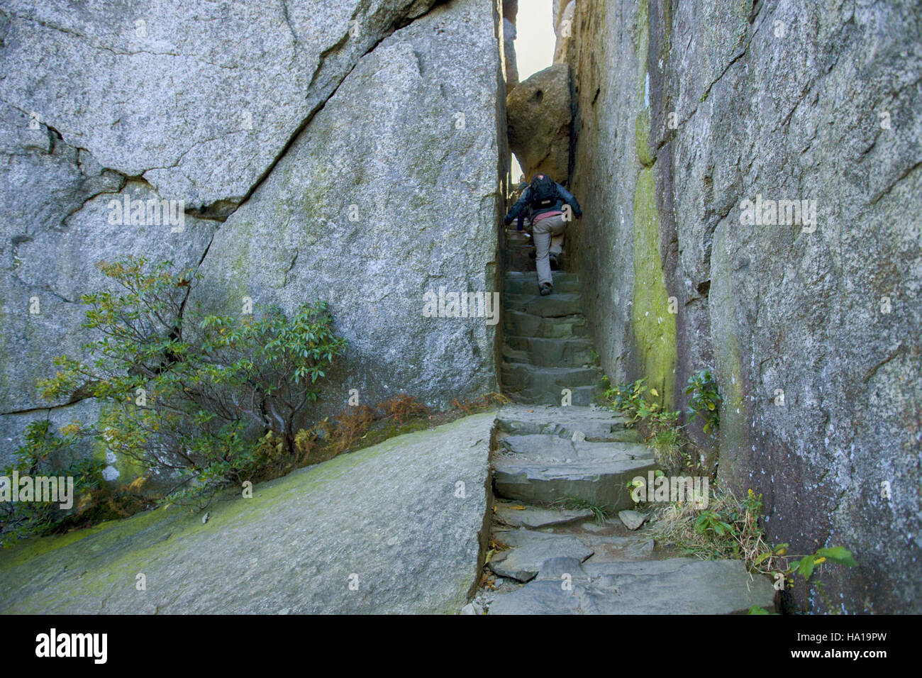 Ridge Trail on Old Rag Mountain offers hikers a challenging path with ...