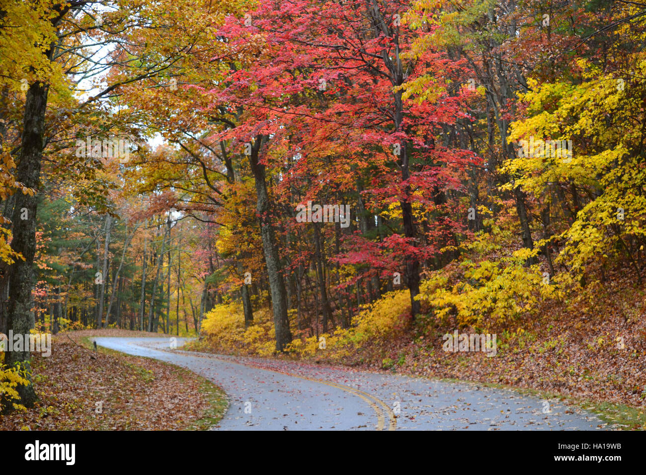 A nature scene from a national park, captured to highlight the beauty ...