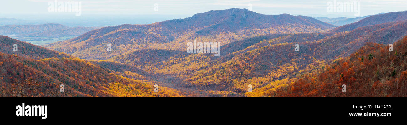 Gold patches hi-res stock photography and images - Alamy