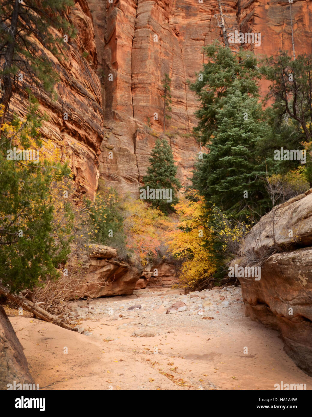 A photo capturing the vibrant fall colors at Zion National Park ...