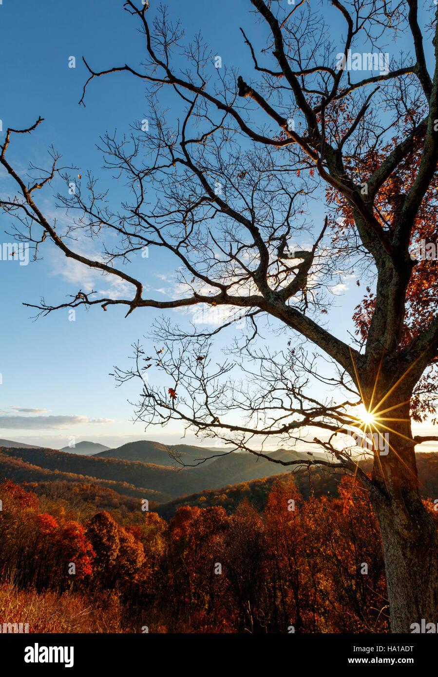 A sunstar image captured during late fall highlights the beauty of the ...