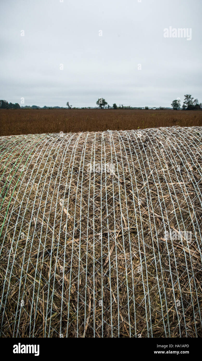 Wastewater nutrient recovery hi-res stock photography and images - Alamy