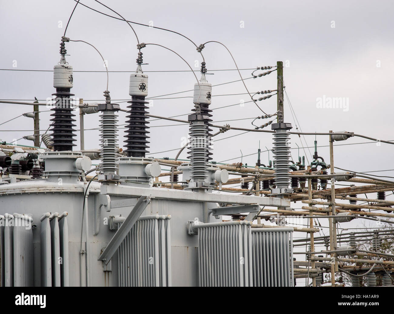 The USDA's Renewable Energy for America Program (REAP) supports rural ...