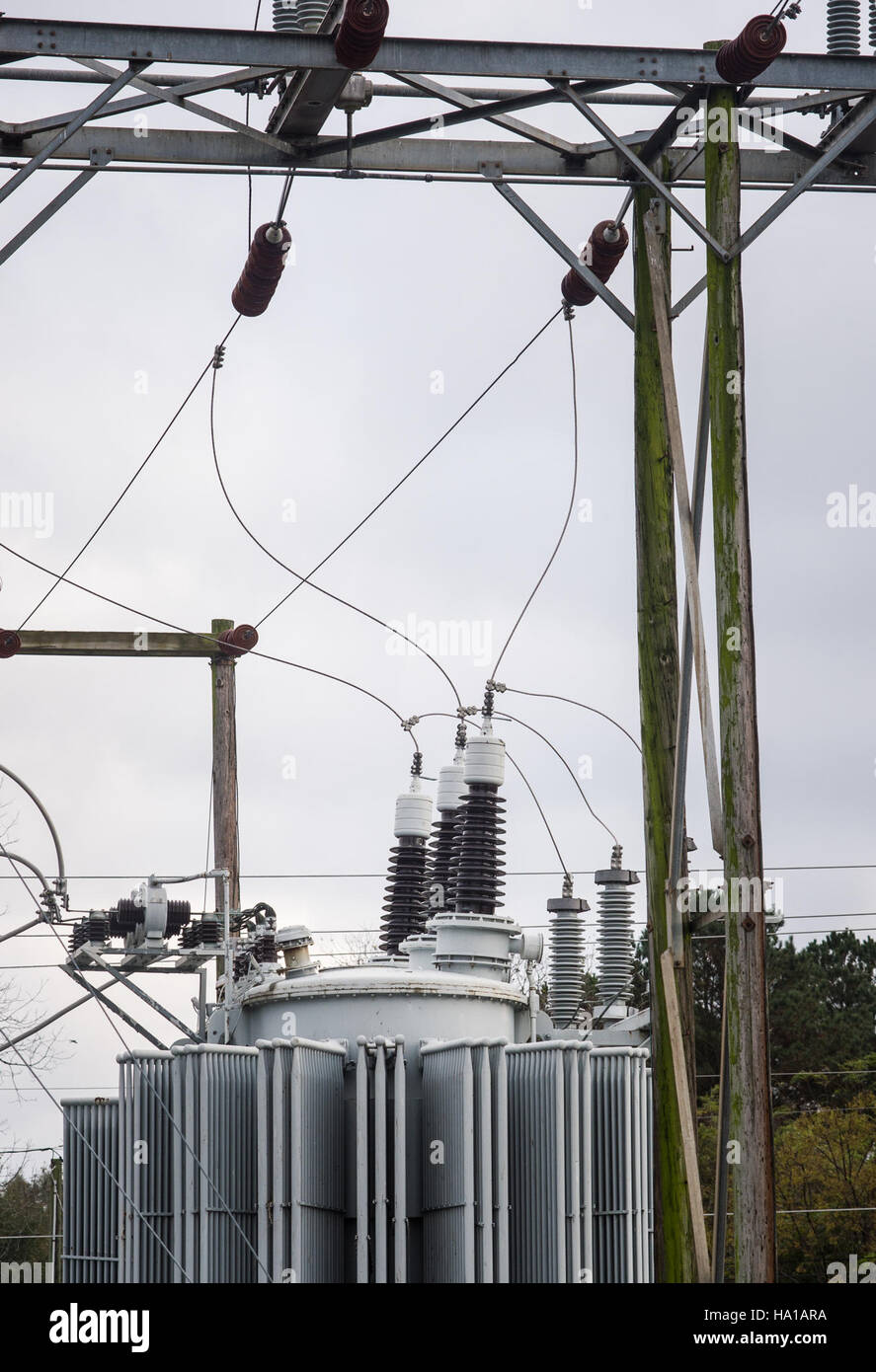 The Renewable Energy for America Program (REAP) by the USDA supports ...