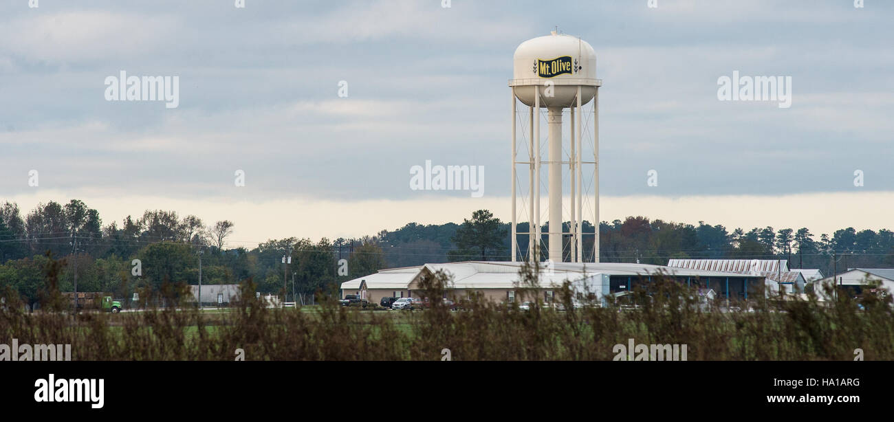 The Renewable Energy for America Program (REAP) provides funding ...