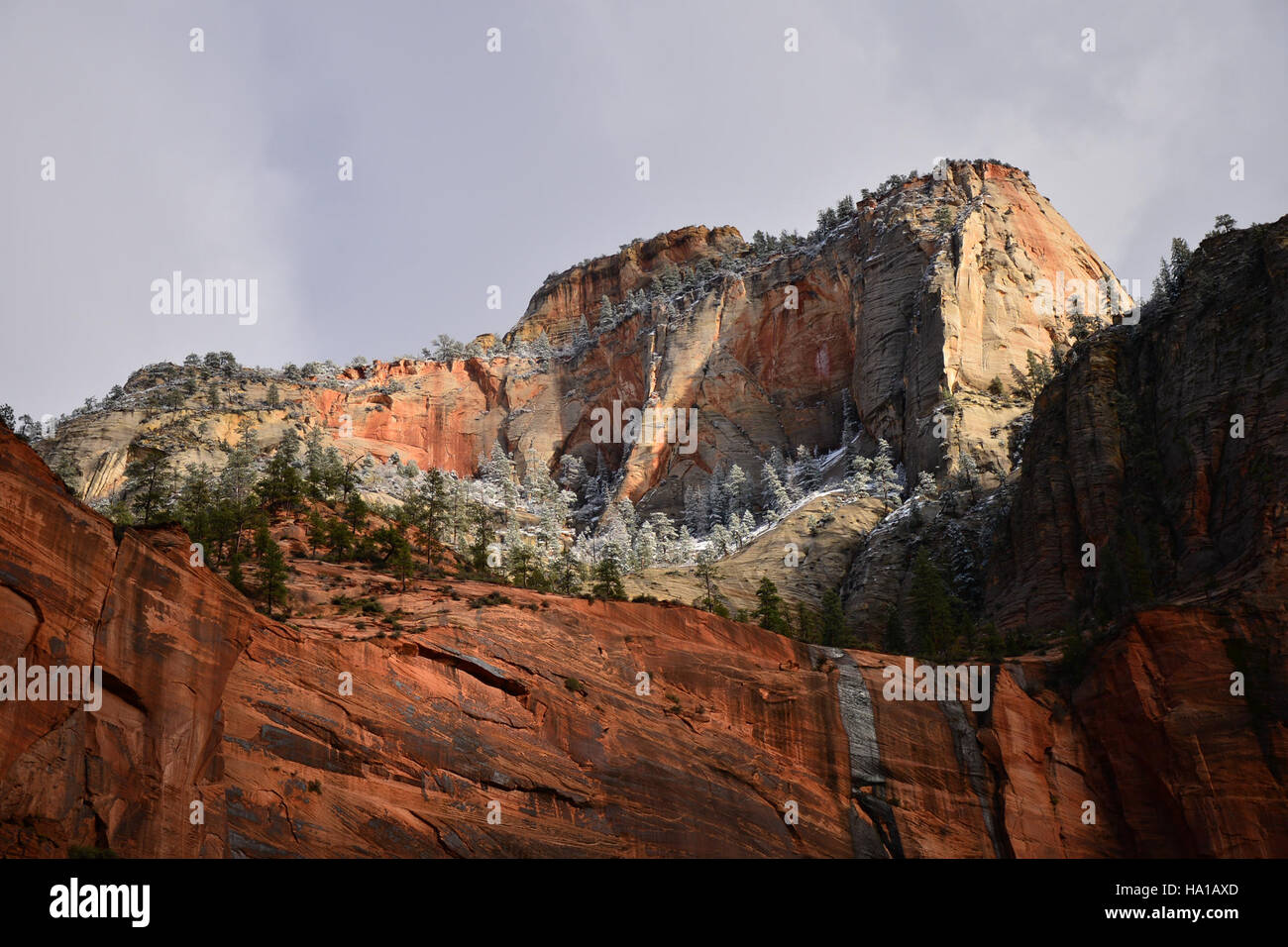 Snow covers the landscape above Riverside Walk in Zion National Park ...