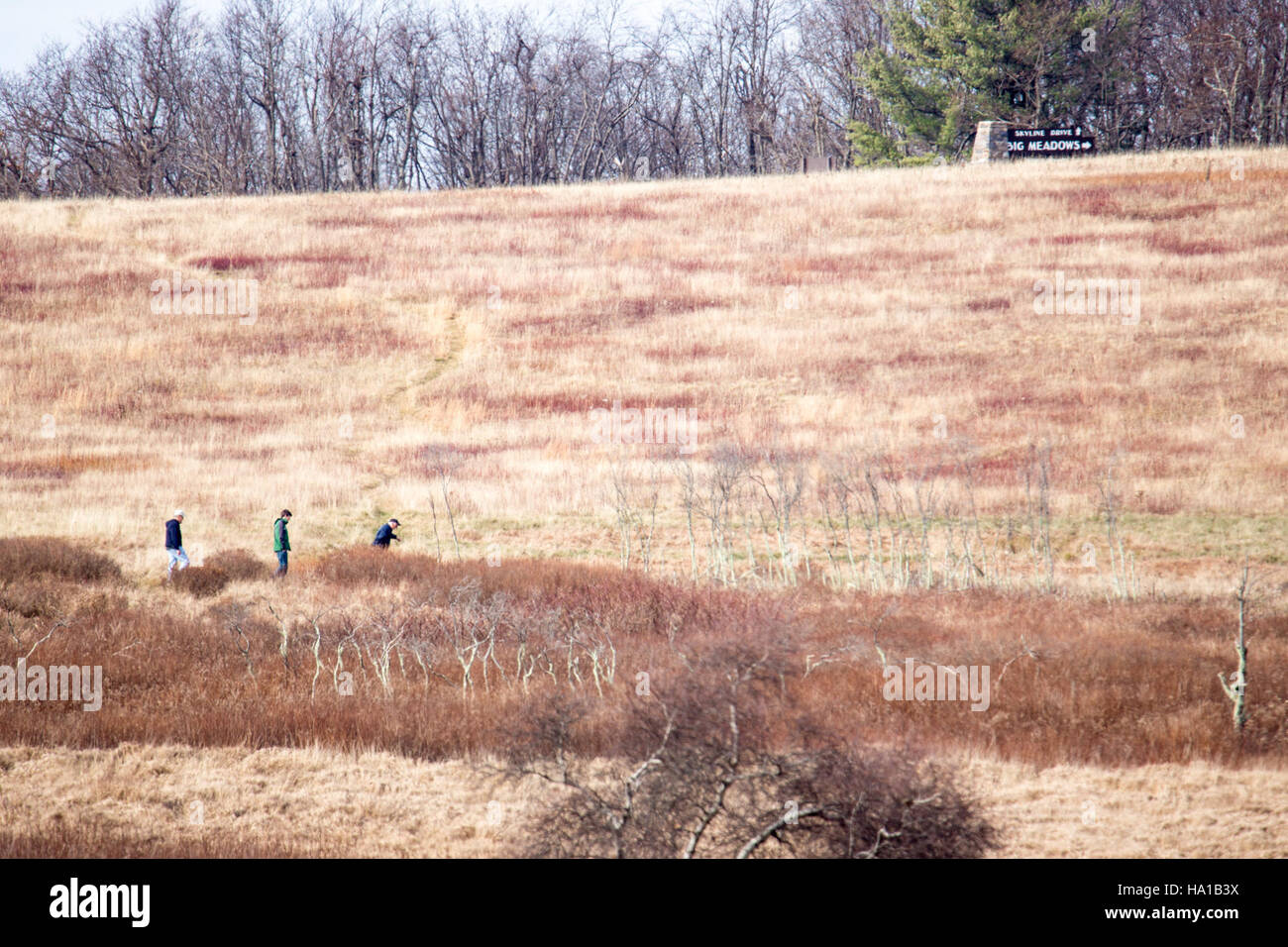 Taking a stroll through national parks allows visitors to experience ...
