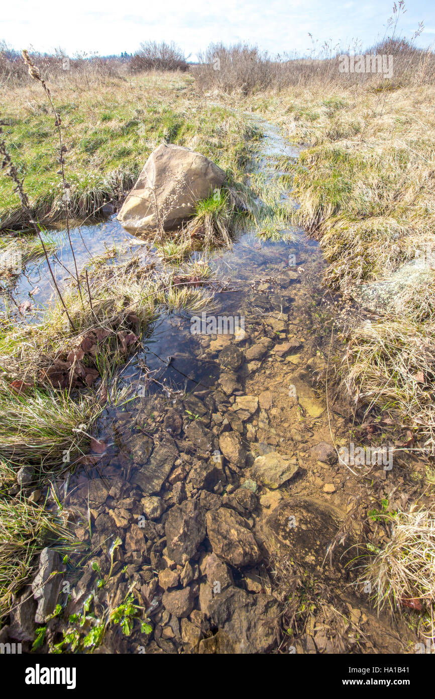 Big Meadows in Shenandoah National Park captures the expansive natural ...