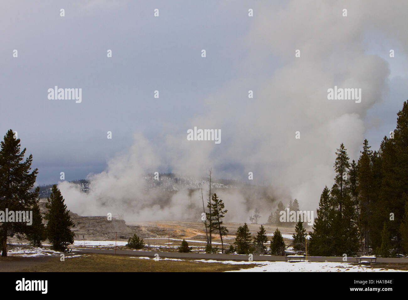 Castle and Grand Geyser are prominent geothermal features located in ...