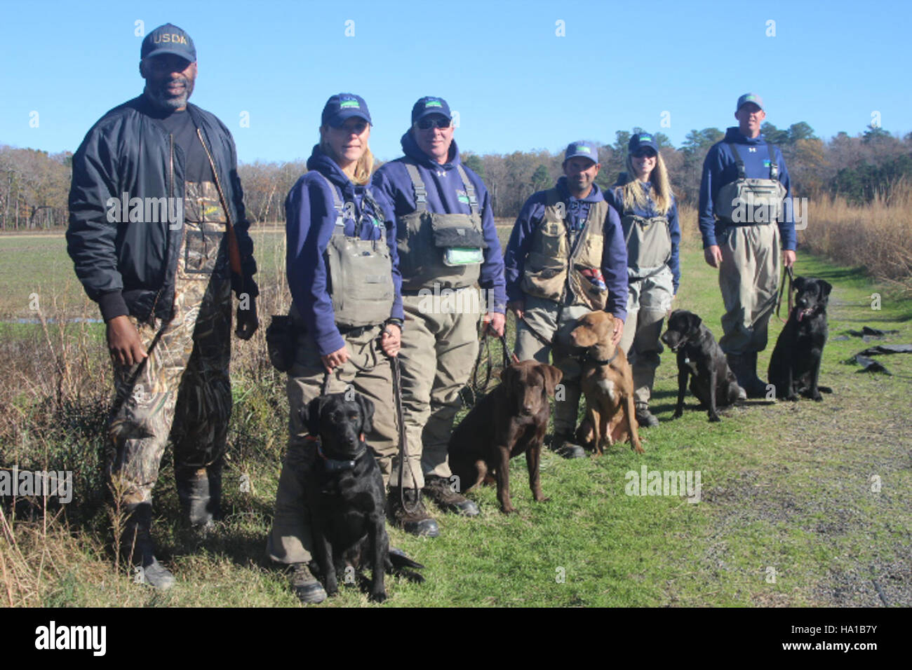 Safety dogs handlers hi-res stock photography and images - Alamy