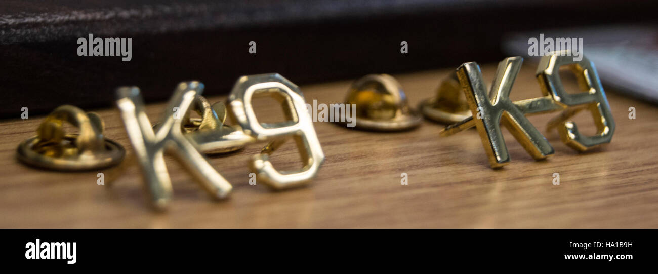 Wildlife detection dog hi-res stock photography and images - Alamy