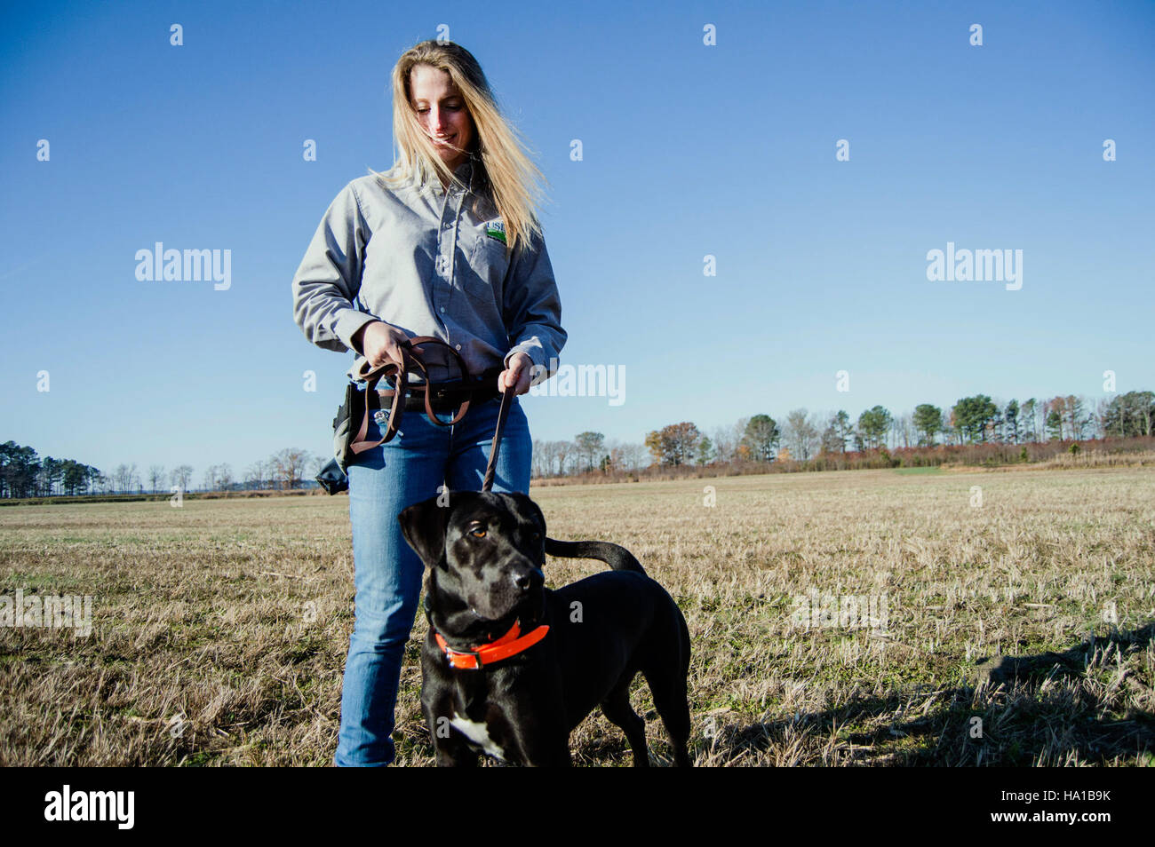 The USDA’s APHIS program works with trained dogs to detect and ...