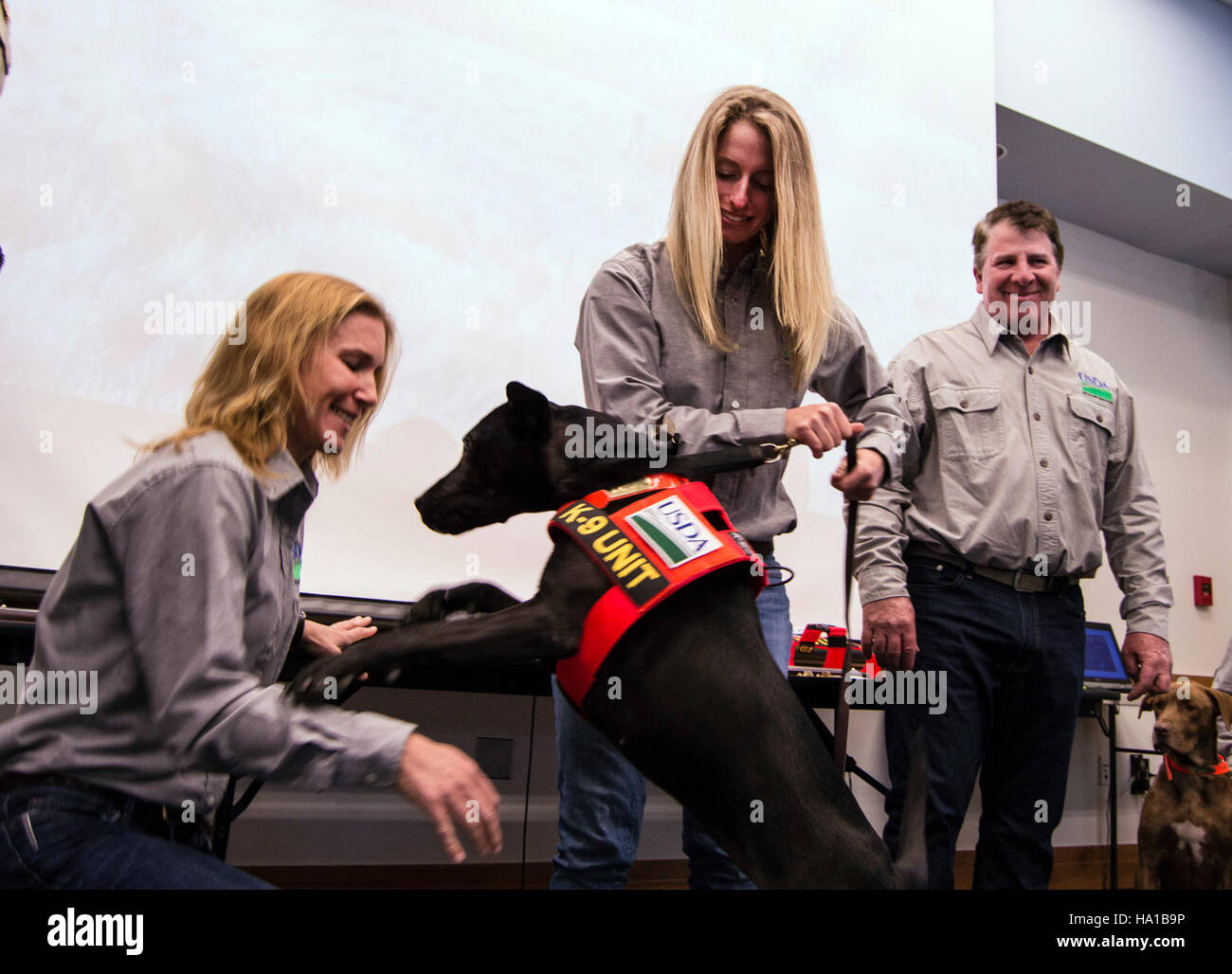 Wildlife detection dog hi-res stock photography and images - Alamy