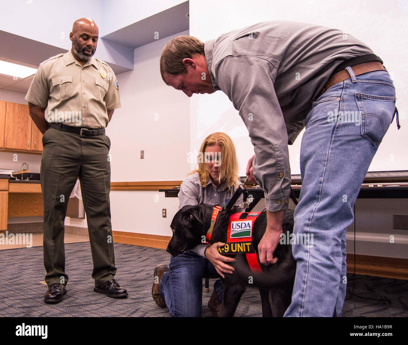 Wildlife detection dog hi-res stock photography and images - Alamy
