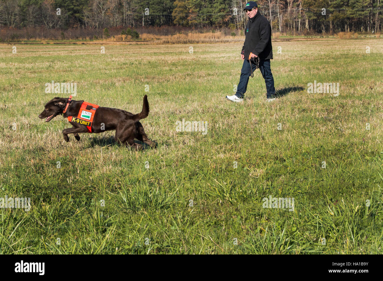 Wildlife detection dog hi-res stock photography and images - Alamy