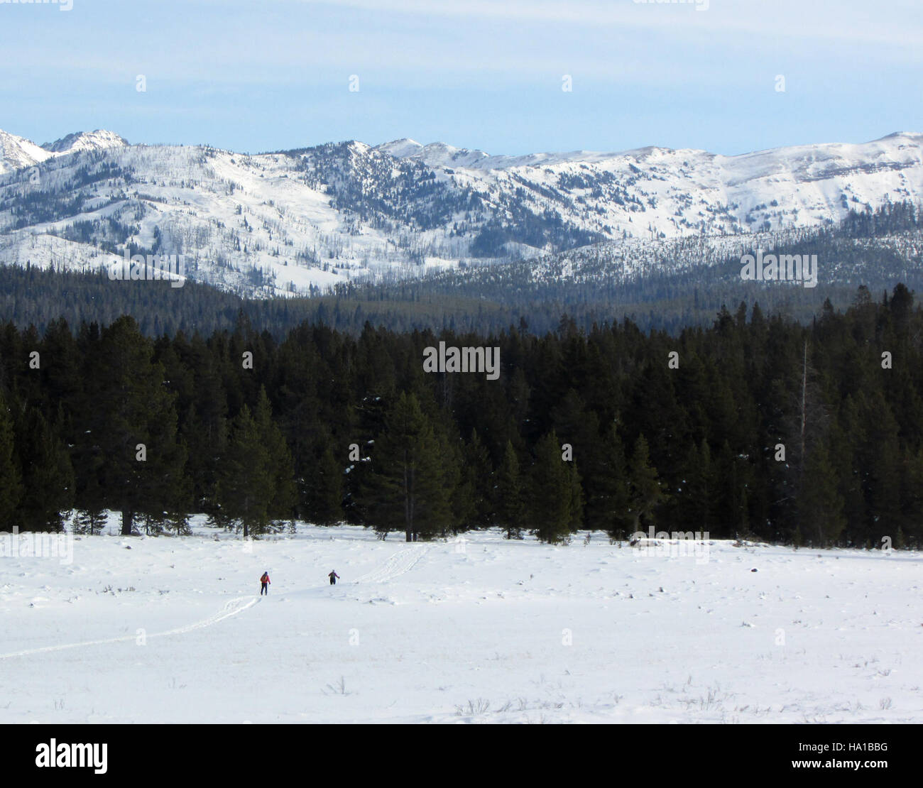 Skiers traverse the Fawn Pass Trail in Yellowstone National Park ...