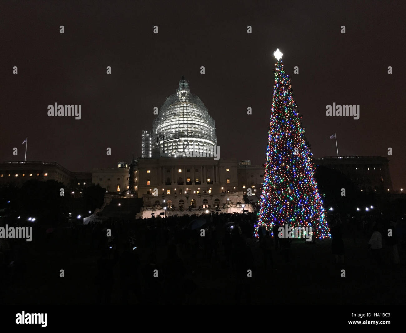 The Capitol Tree lighting ceremony on the West Lawn of the U.S. Capitol ...