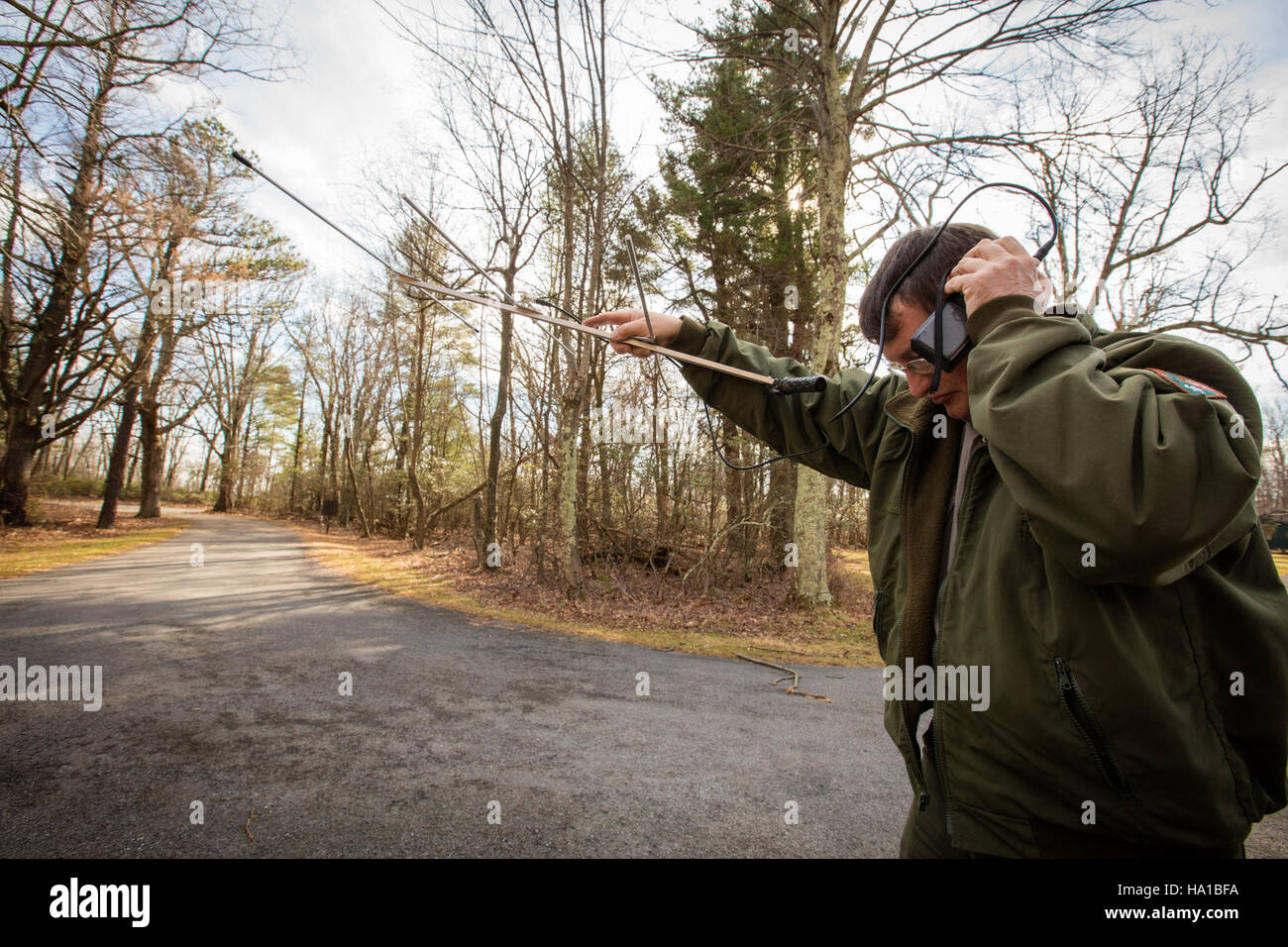 This image shows a deer fitted with a telemetry collar for tracking ...