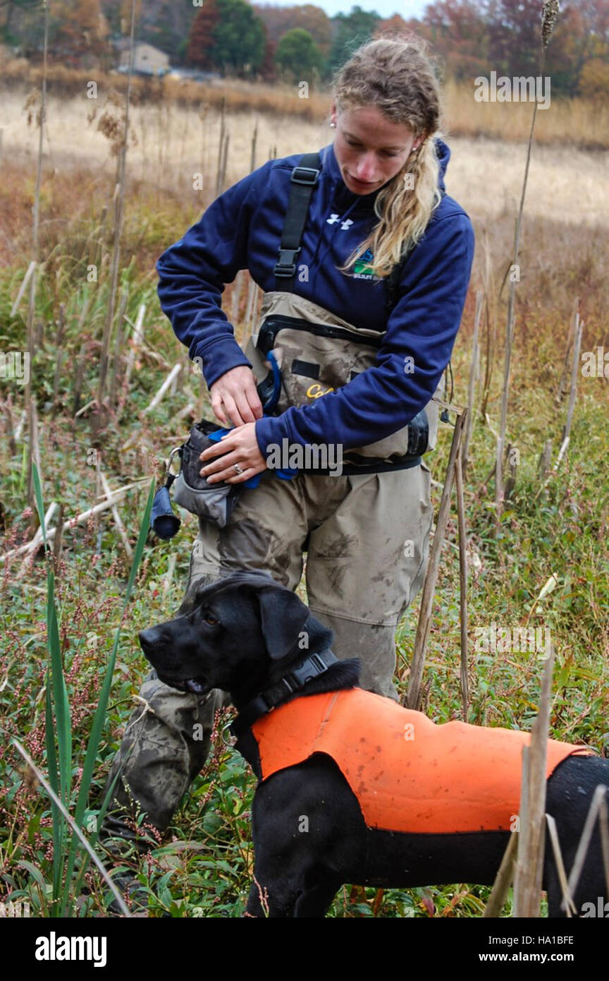 Wildlife detection dog hi-res stock photography and images - Alamy