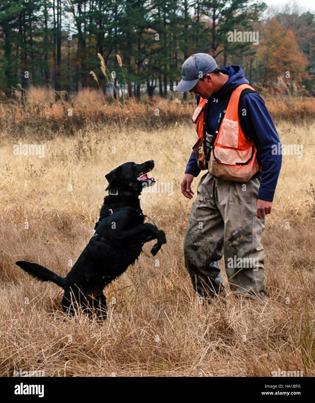 Pjb hi-res stock photography and images - Alamy