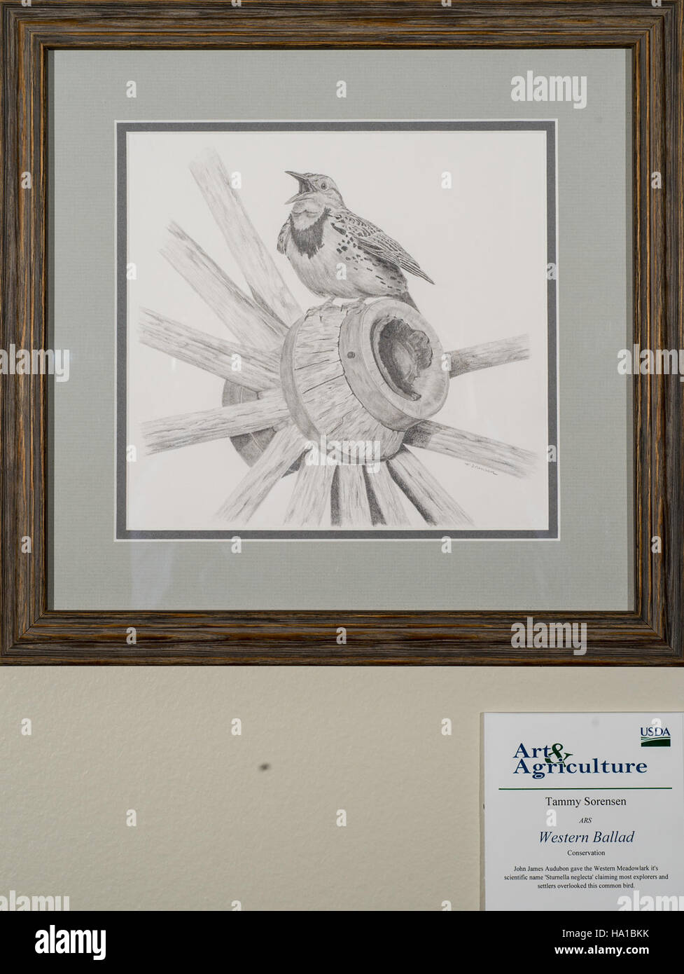 A collection of artworks featuring themes related to the U.S ...