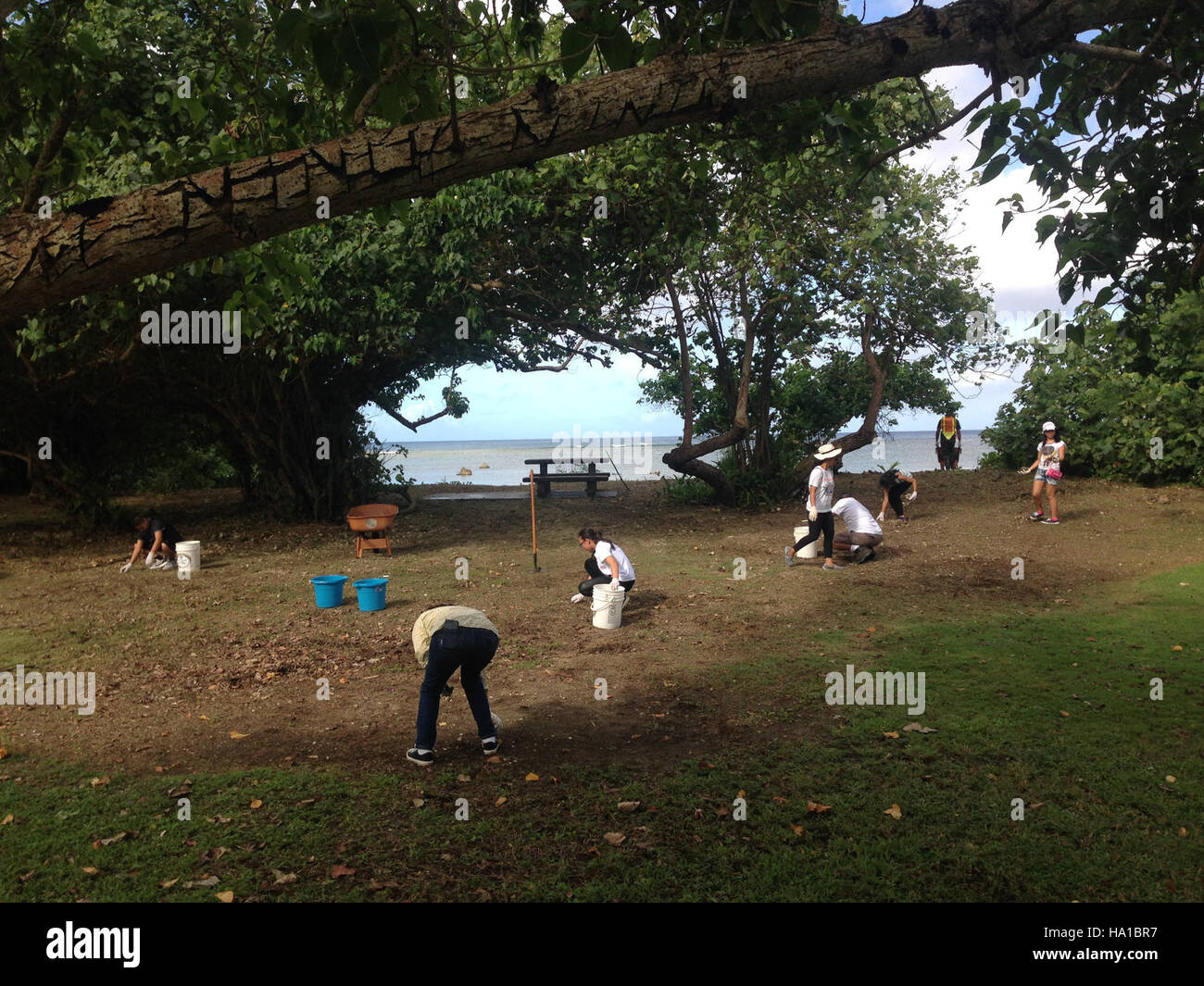 This image captures the natural beauty of the Pacific Islands ...