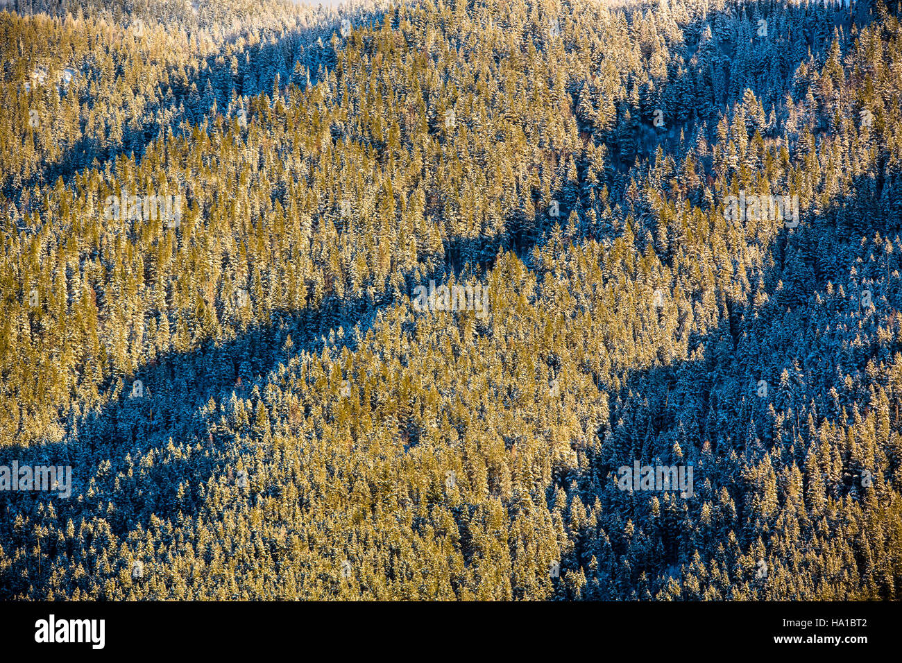 Snyder Ridge in Glacier National Park features unique geological ...