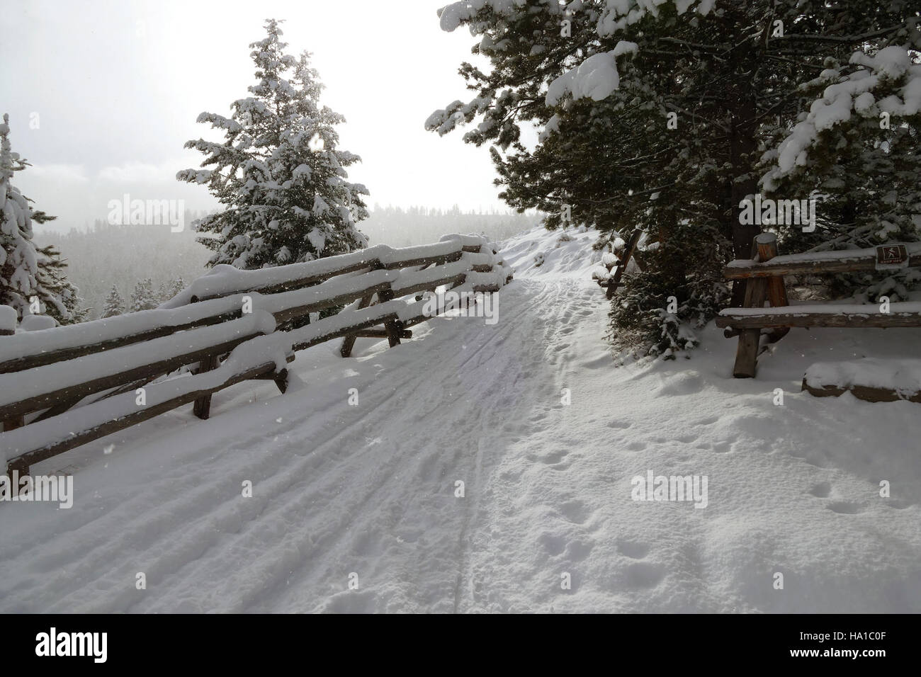 The winter trail to the Tower Fall viewing platform in Yellowstone ...
