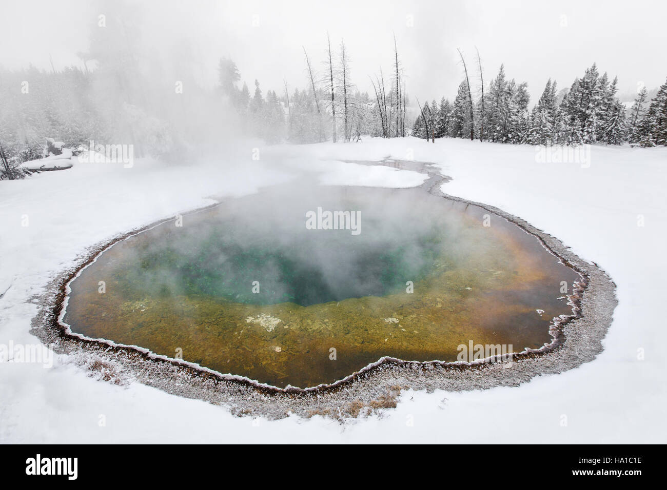 Morning Glory Pool in Yellowstone National Park is a geothermal feature ...