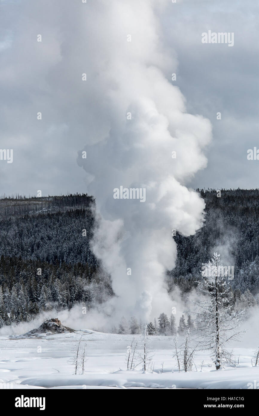 The Great Fountain Geyser in Yellowstone National Park is a prominent ...