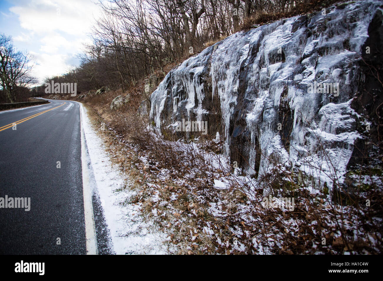 Winter is approaching, as captured in this photo of a national park ...