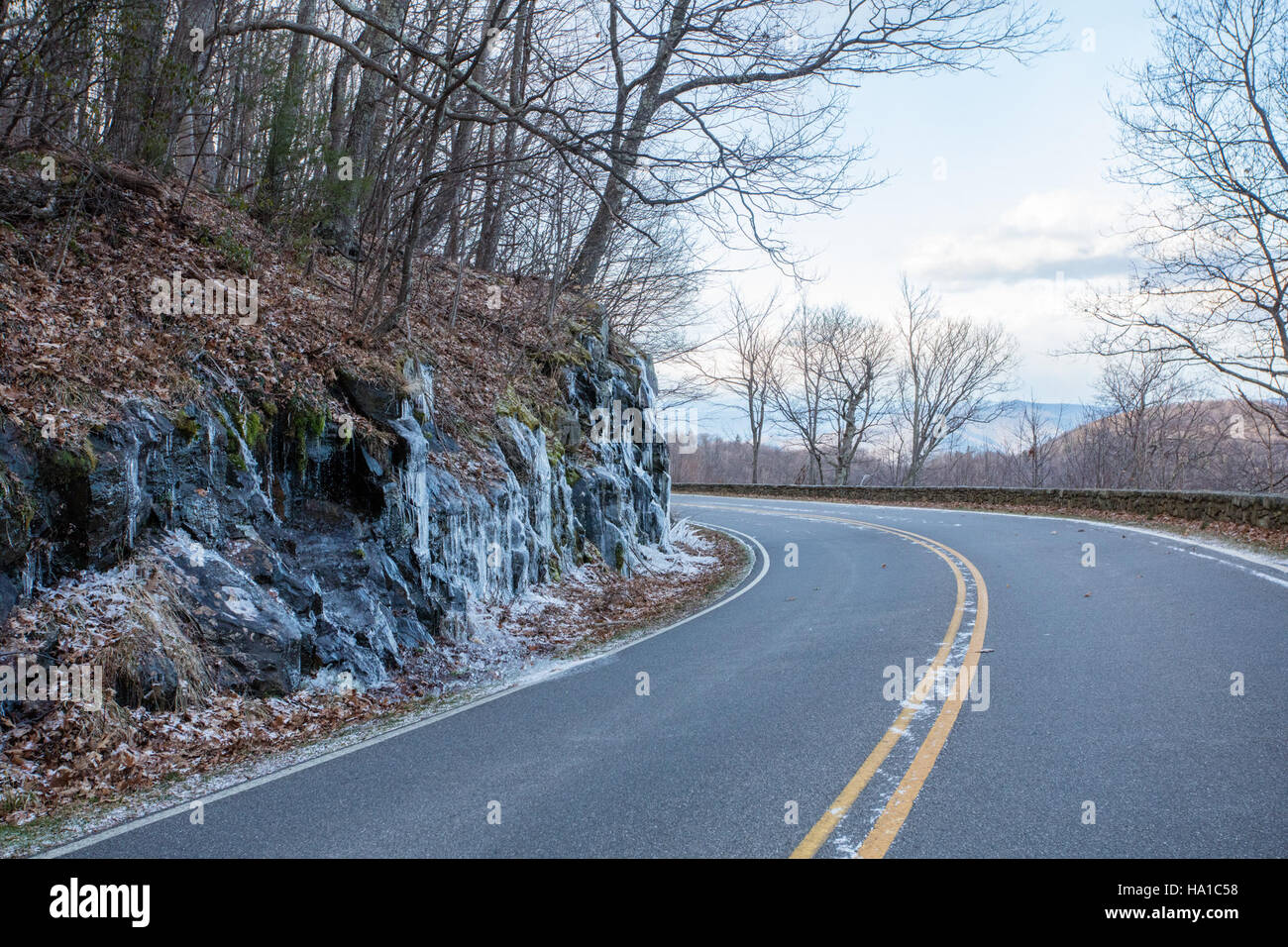Frozen in time, a historical photograph captures a unique moment in U.S ...