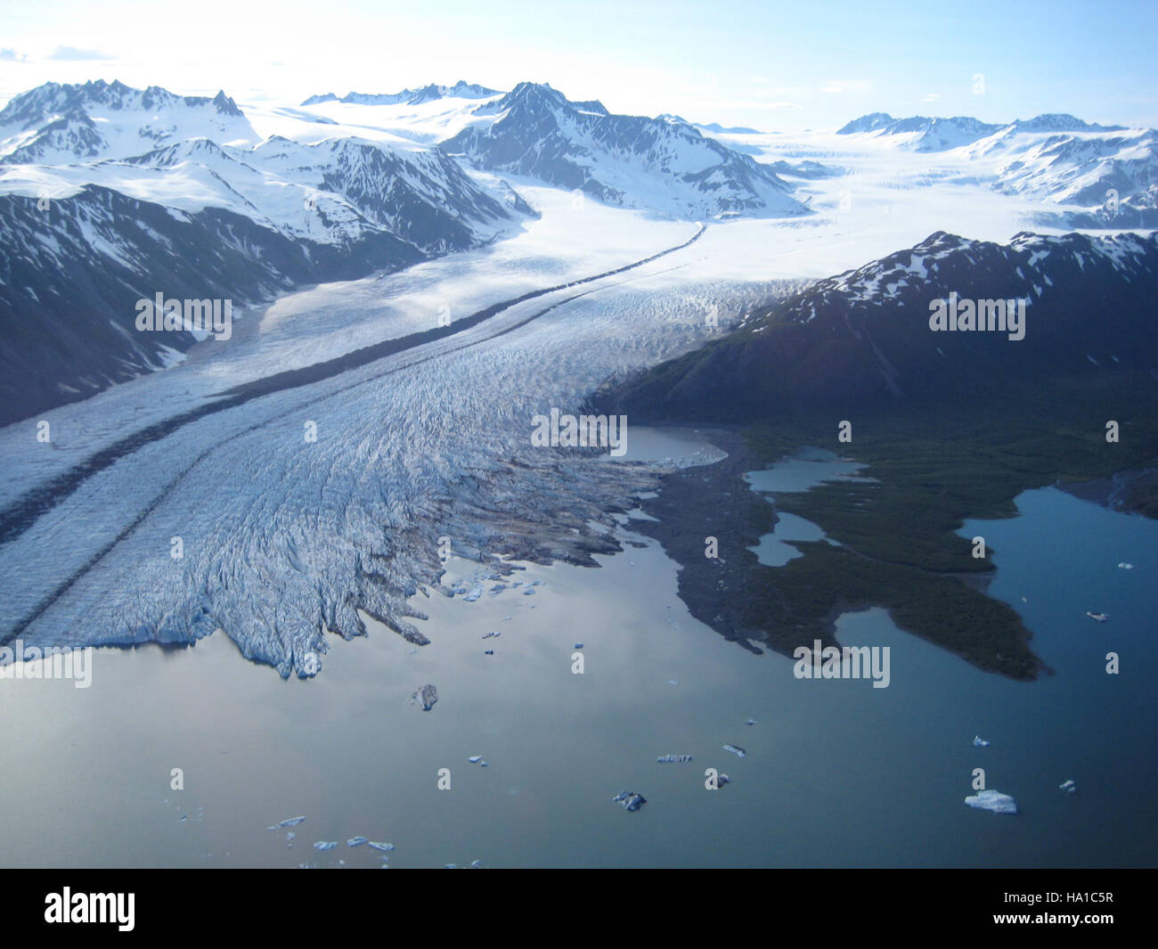 Bear Glacier, located in Kenai Fjords National Park, is a stunning ...