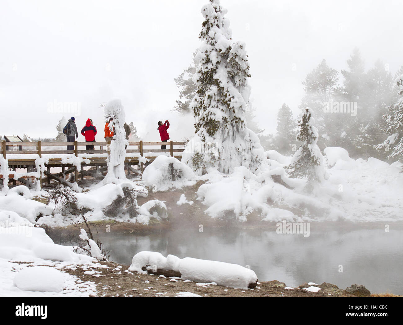 Visitors at Yellowstone National Park capture photographs of rime ice ...