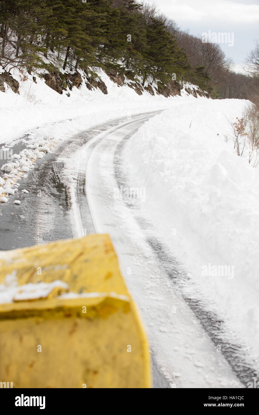 A cleared path in a U.S. National Park, demonstrating the ongoing ...