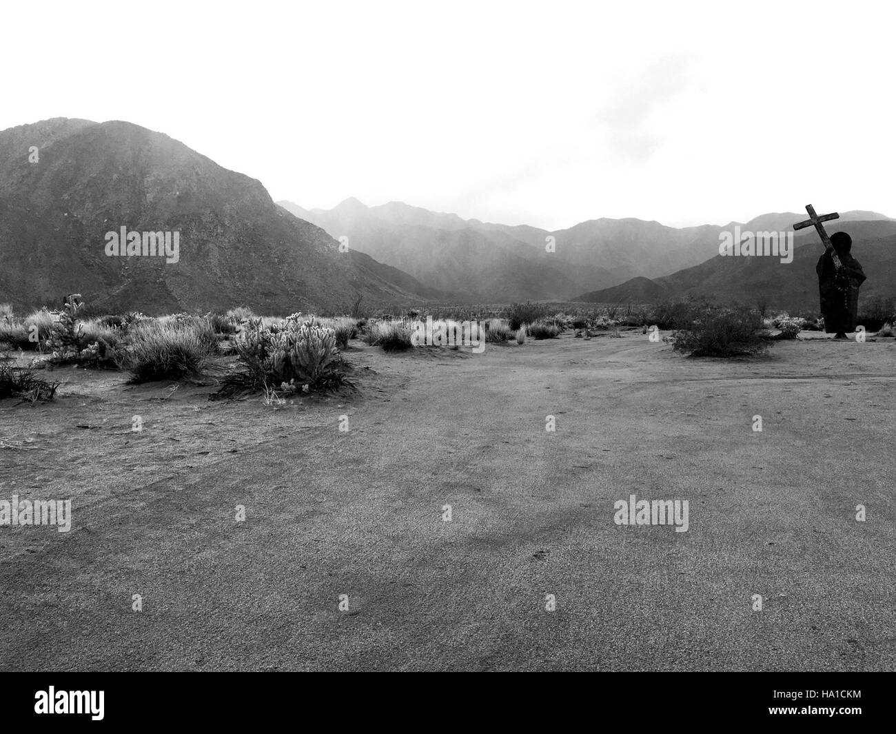 This image showcases sculptures by artist Ricardo Breceda in Borrego ...