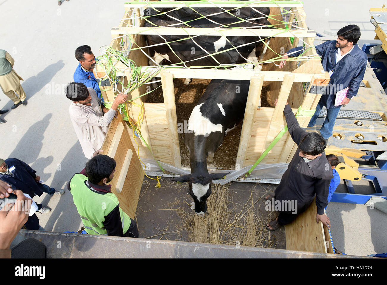 Pakistan agriculture farming hi-res stock photography and images - Alamy