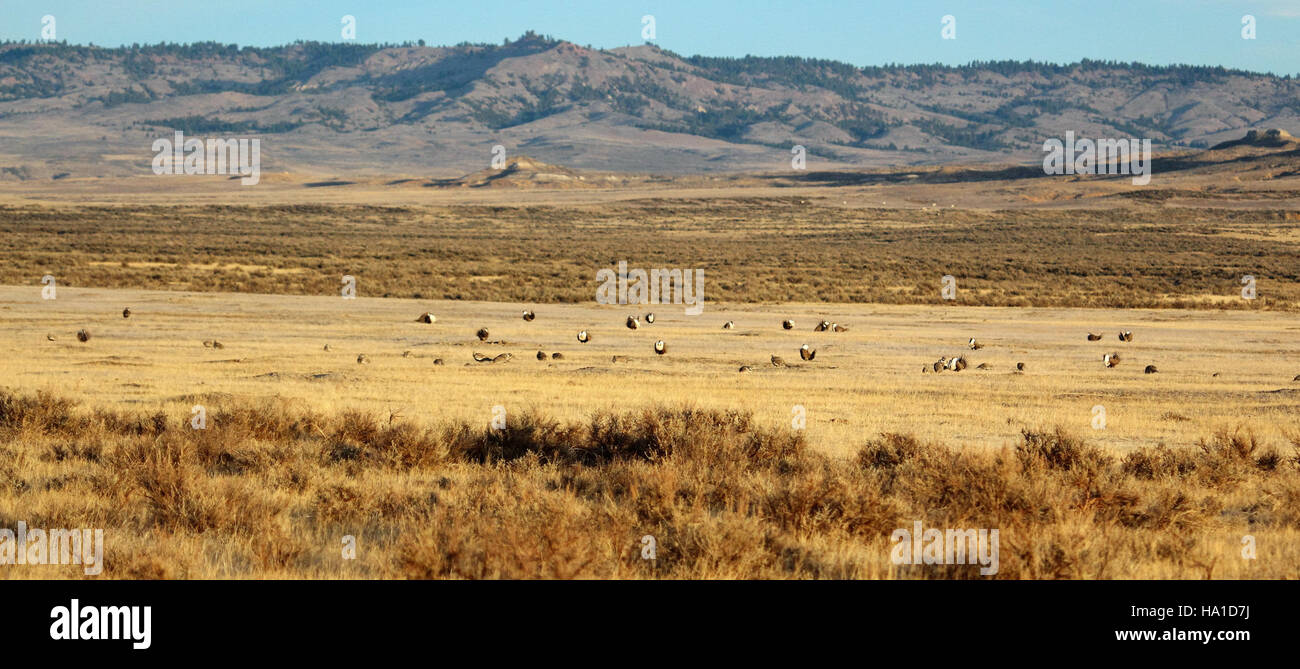 Thunder basin national grassland hi-res stock photography and images ...