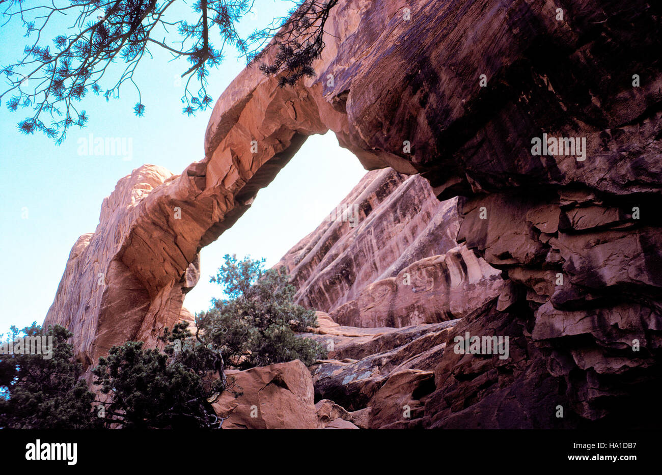 A photograph of Wall Arch in Arches National Park before it collapsed ...