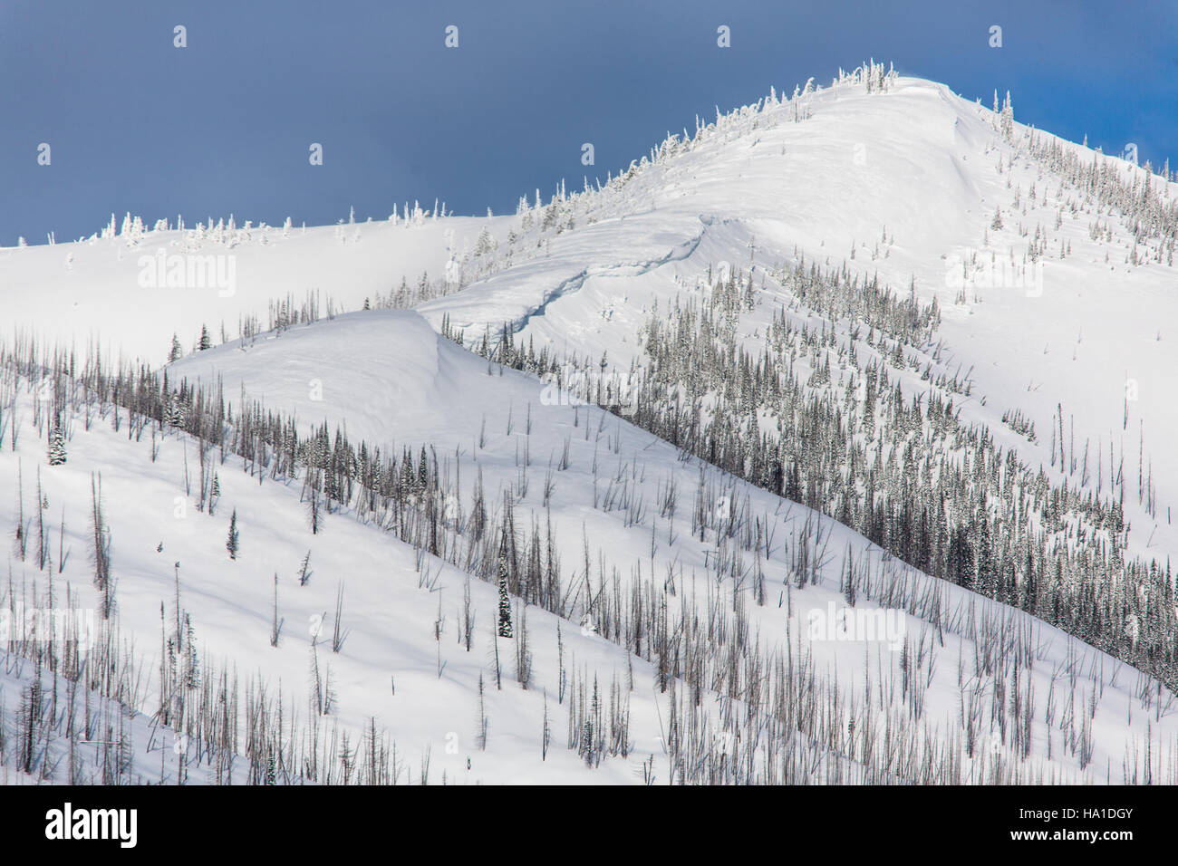 A winter scene from Apgar Ridge in Glacier National Park, showcasing ...