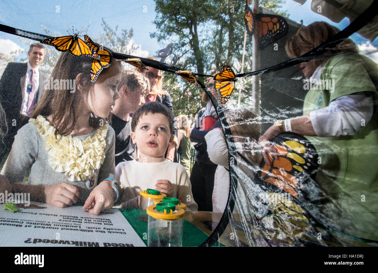 Volunteers from Monarch Watch, supported by the USDA, work to track and ...