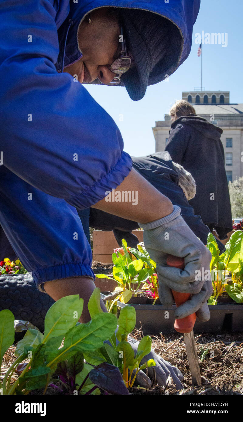 April is National Garden Month, celebrating the importance of community ...