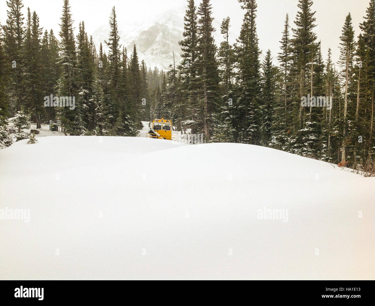 The Two Medicine area in Glacier National Park is known for its scenic ...