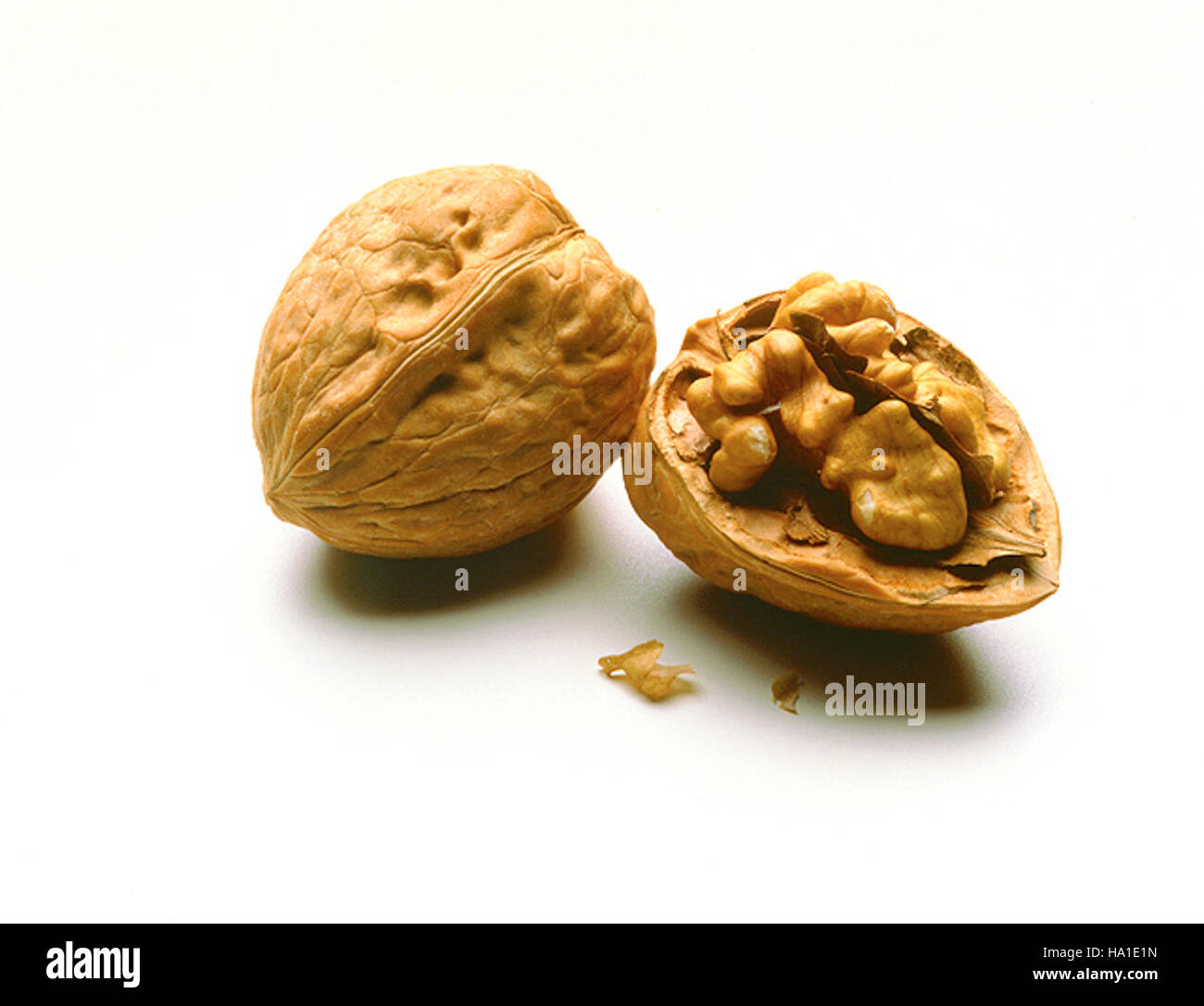 Highlighting biodiversity Cut Out Stock Images & Pictures - Alamy