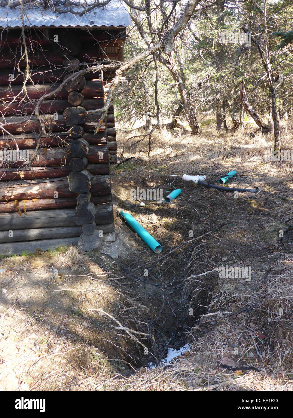 Bear Damage Stock Photos & Bear Damage Stock Images - Alamy